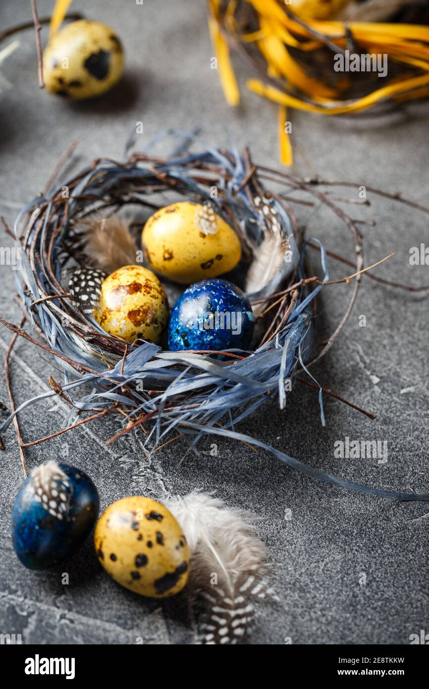 Small blue eggs in nest hi-res stock photography and images - Alamy