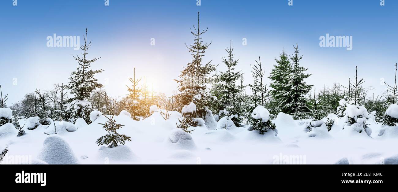 Panoramic landscape ice covered hi-res stock photography and images - Alamy