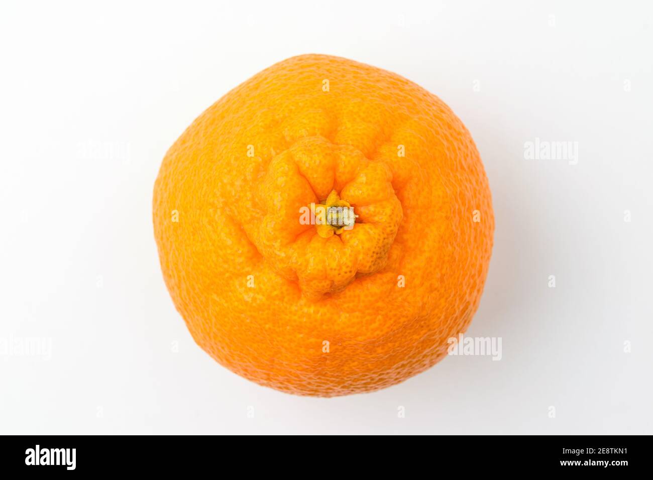 Jeju Island Citrus Hallabong on white background Stock Photo - Alamy