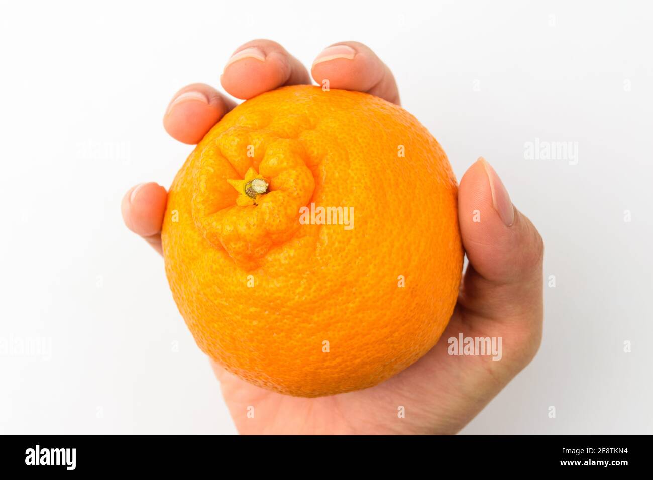 Jeju Island Citrus Hallabong on white background Stock Photo - Alamy