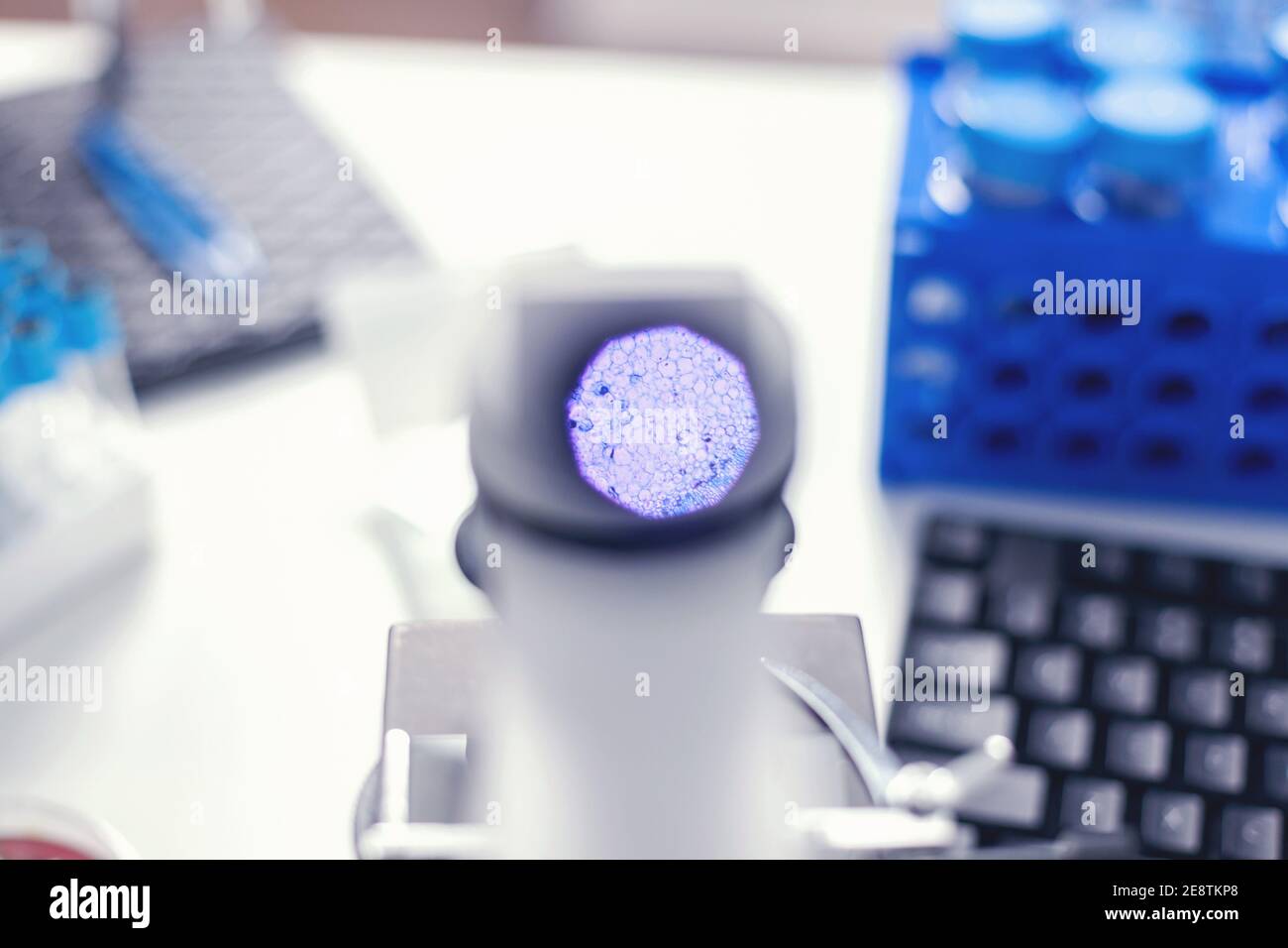 Close up view of cells through microscope in modern medicine laboratory ...