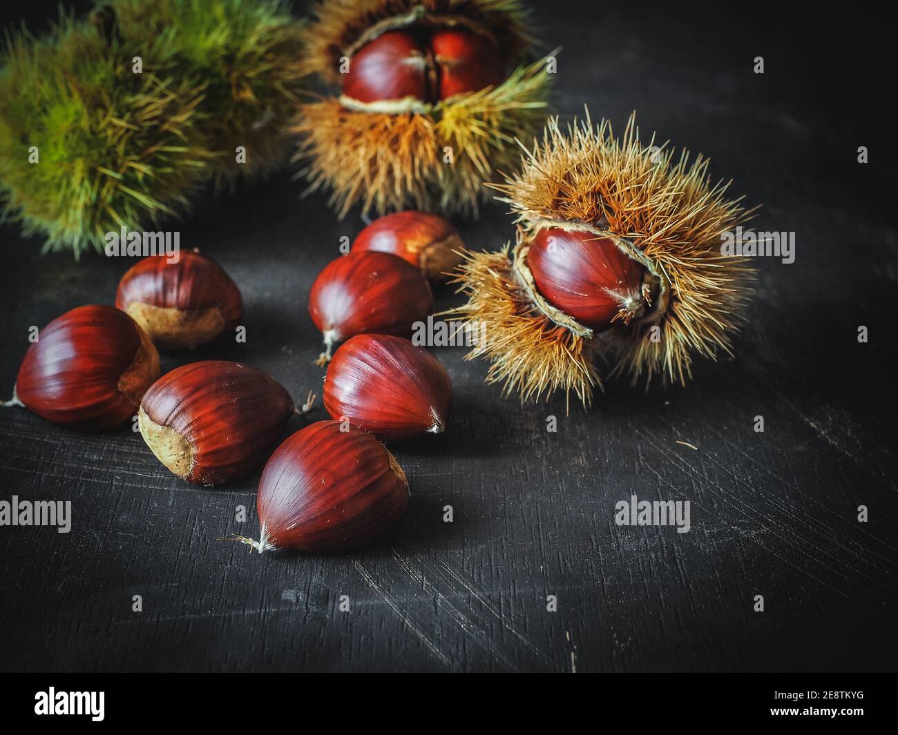 Dark chestnut hi-res stock photography and images - Alamy