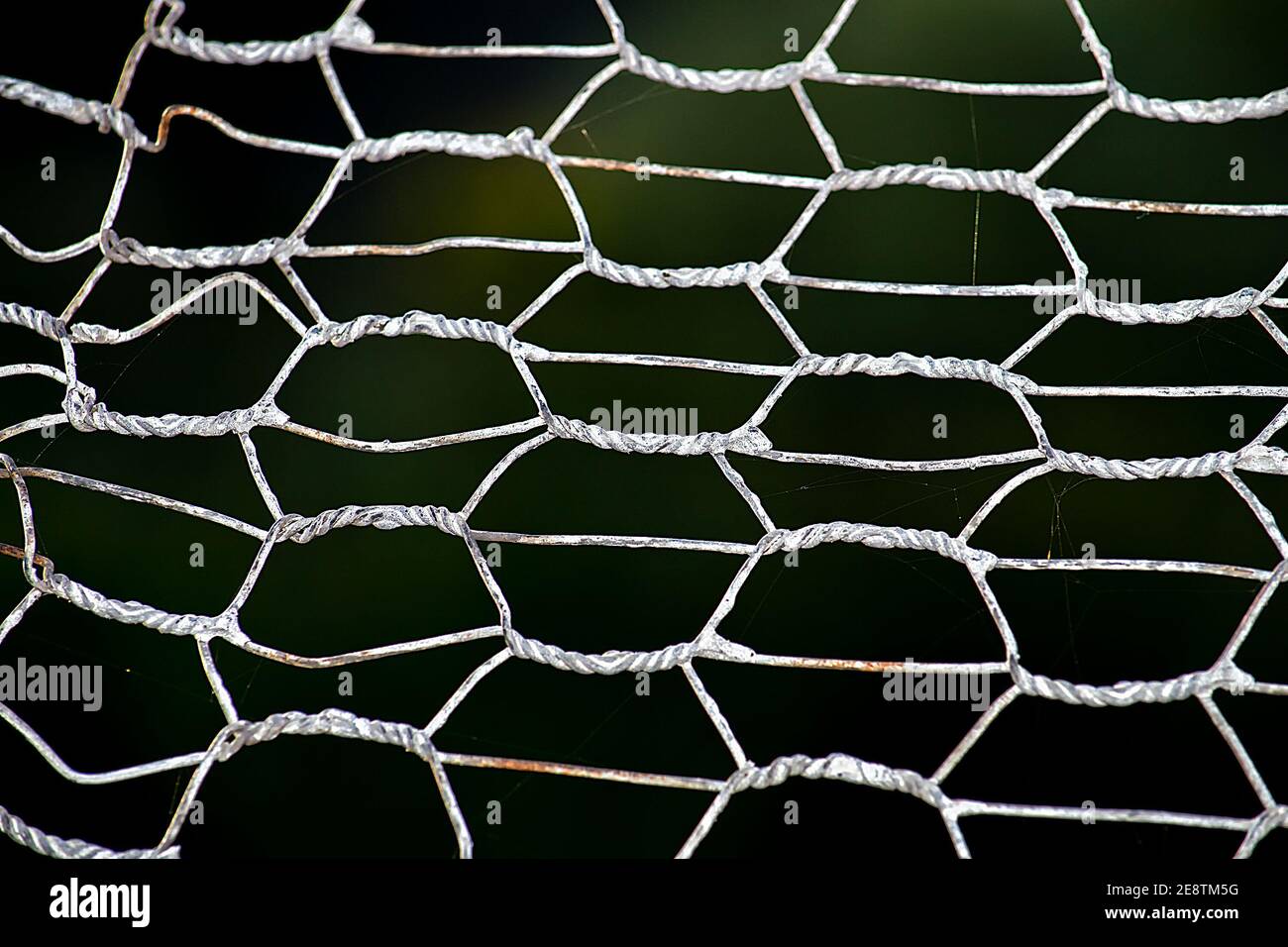 Hexagonal cell hi-res stock photography and images - Alamy