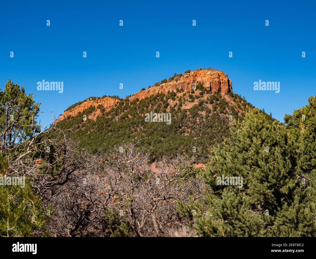Bears Ears Buttes in Bears Ears National Monument, Utah Stock Photo - Alamy