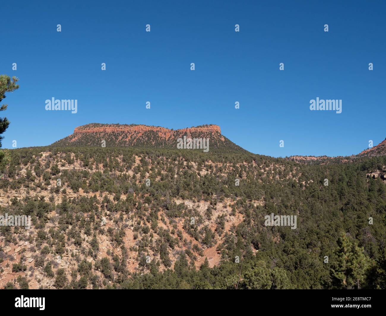 Bears ears butte hi-res stock photography and images - Alamy