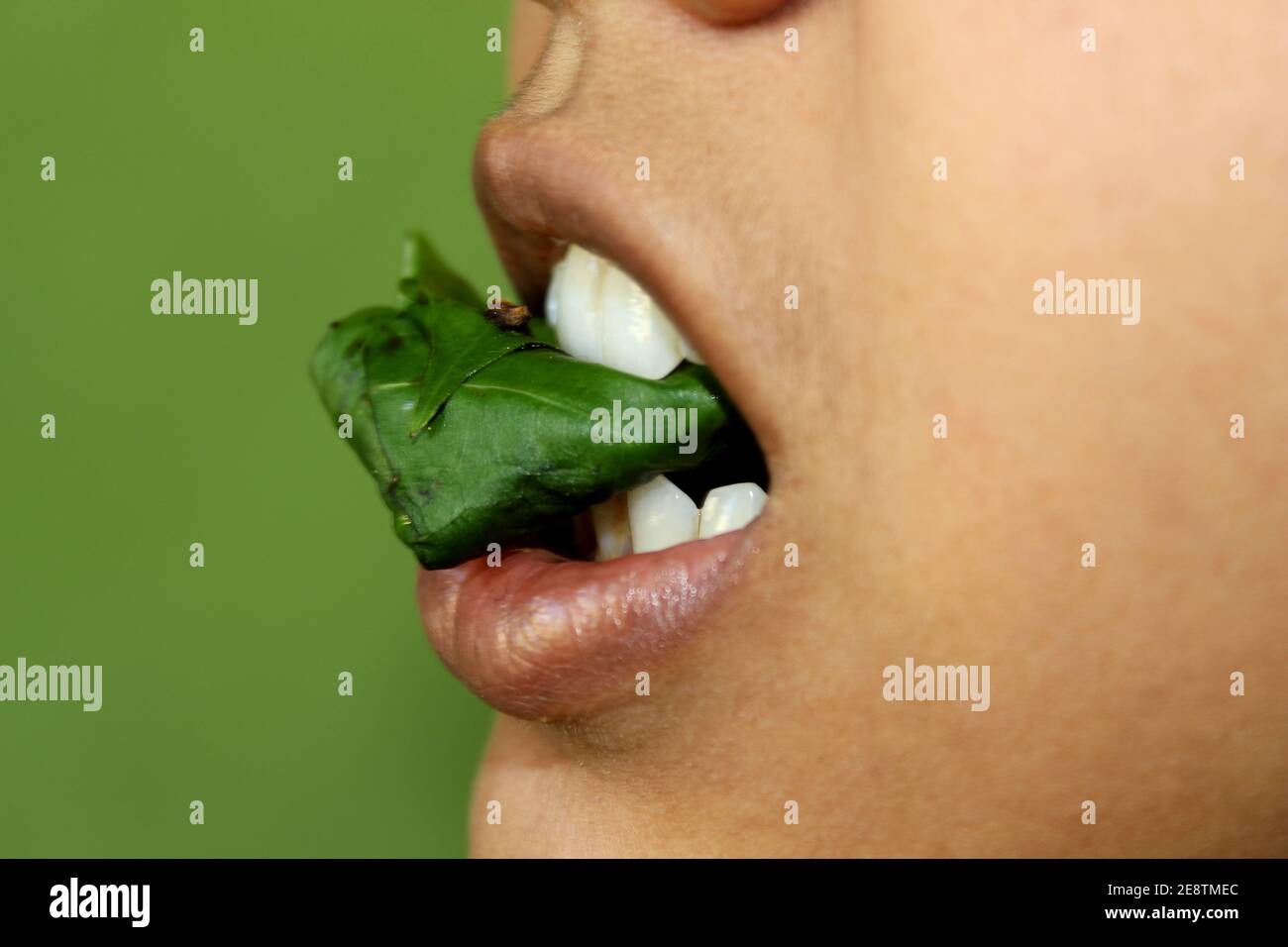 Betal leaves hi-res stock photography and images - Alamy