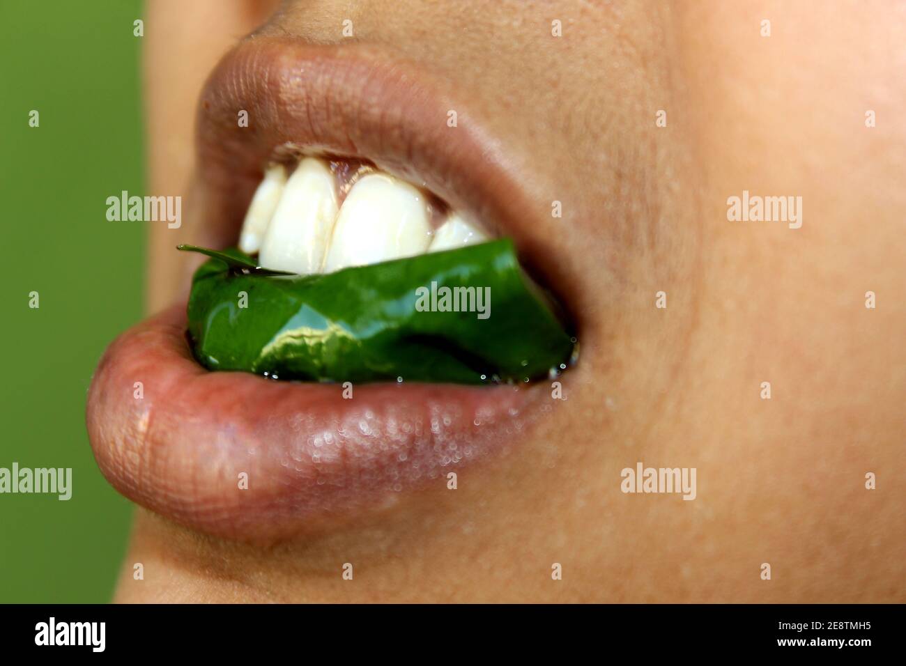 Betal nut Chewing, Paan, India Herbal Mouth freshener after eating food ...