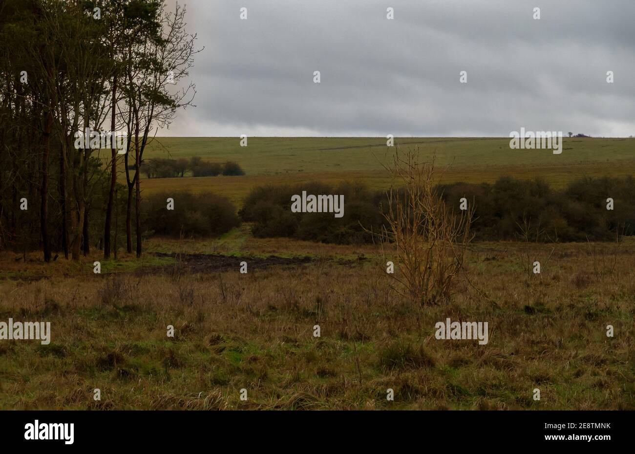 Chalk salisbury plain hi-res stock photography and images - Alamy