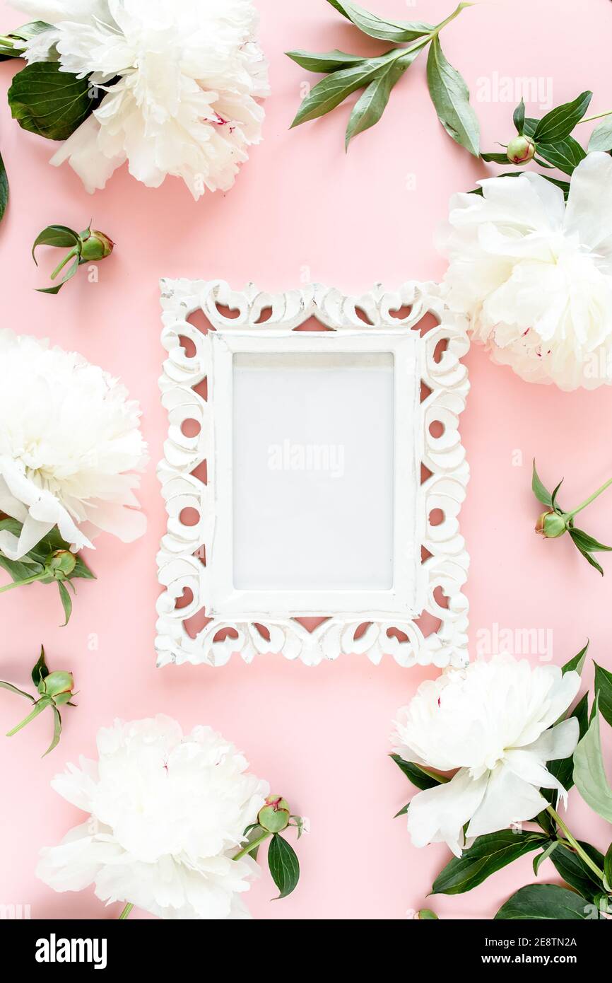 Frame of white peony flowers with space for text on pink background ...