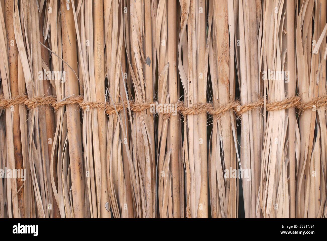 Outside wall made of palm fronds of the Bani Jamra weaving textiles ...