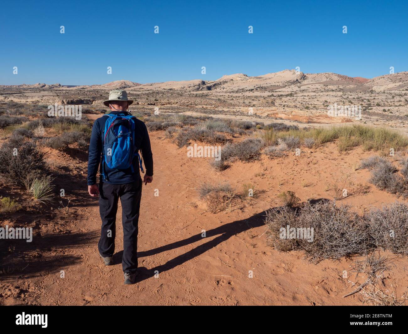 Man hiking to Wolfman panel petroglyphs at Combs Ridge, Butler Wash ...