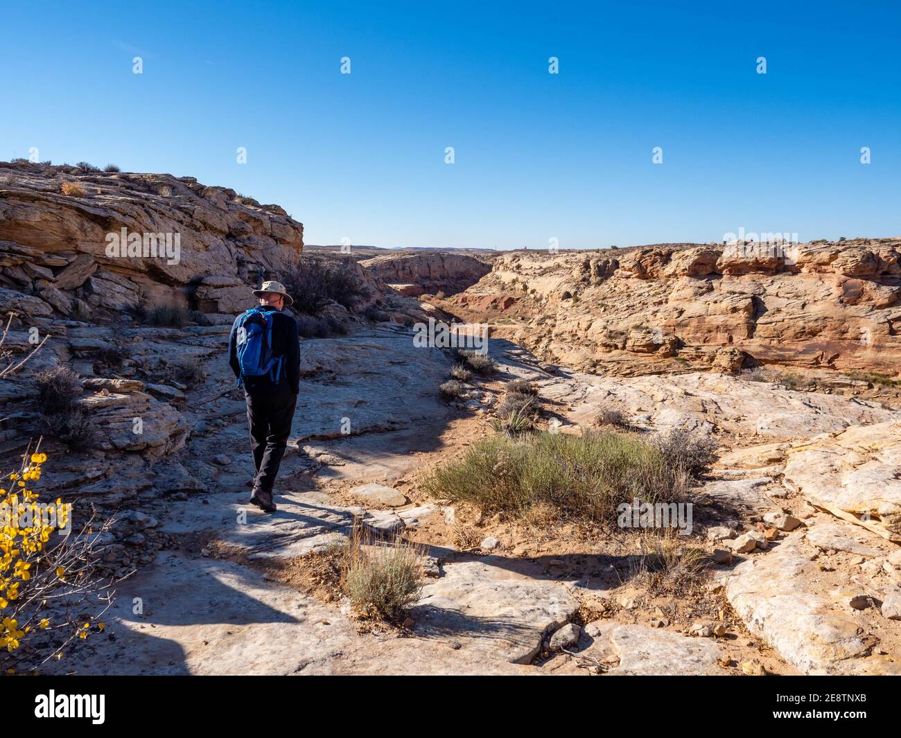Walk to Wolfman panel petroglyphs at Combs Ridge, Butler Wash Road ...