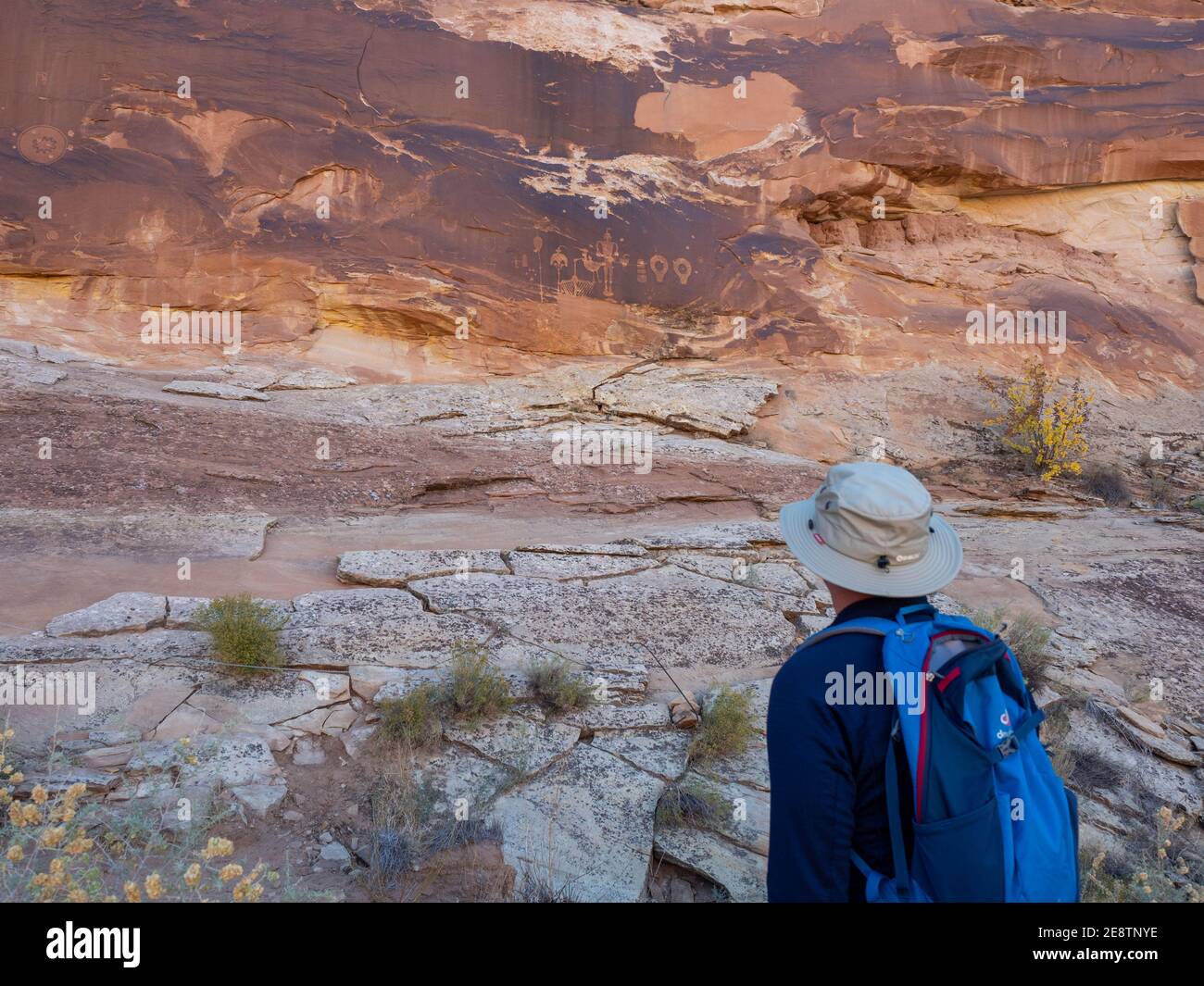 Walk to Wolfman panel petroglyphs at Combs Ridge, Butler Wash Road ...