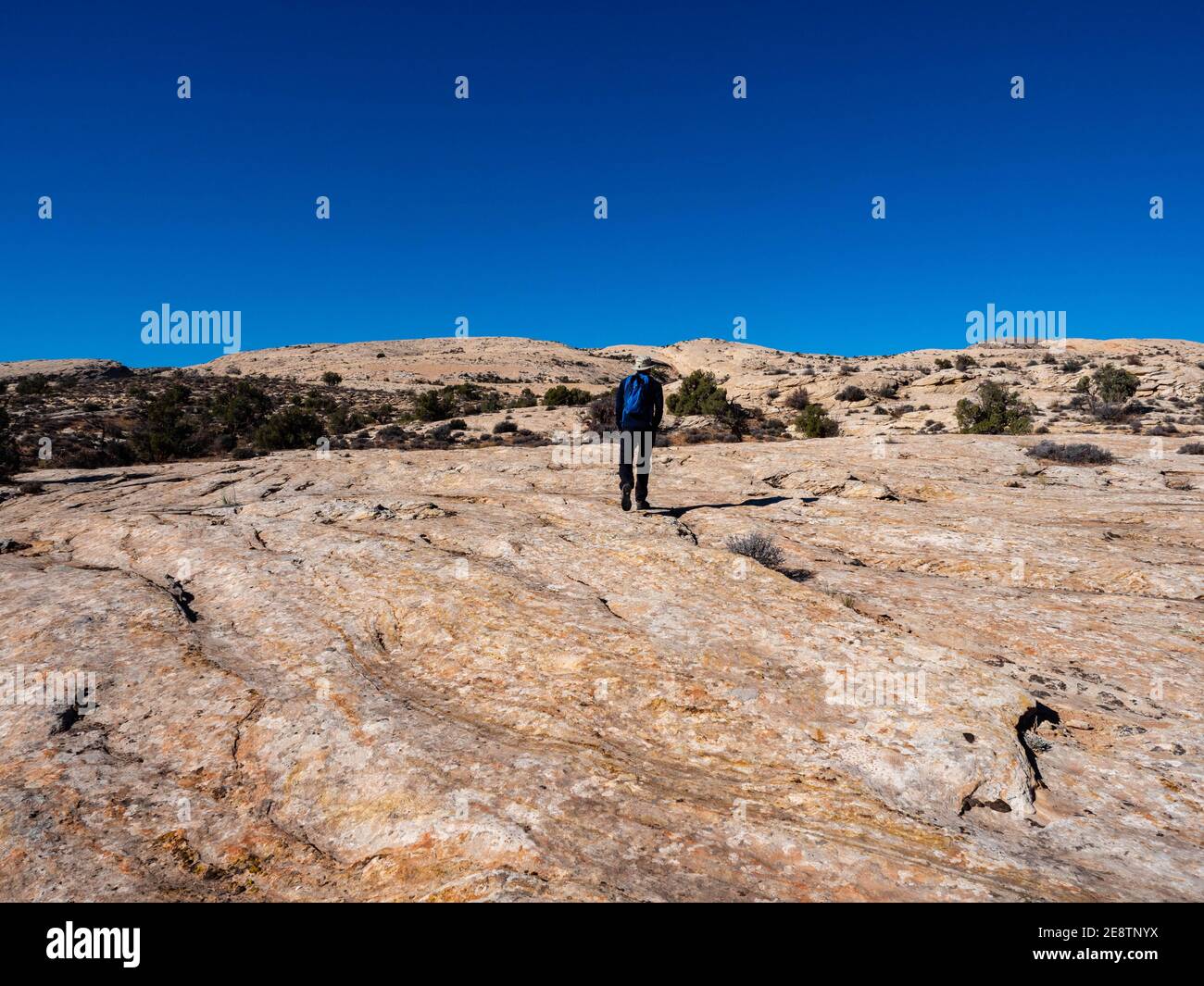 Walk to Processional panel petroglyphs at Combs Ridge, Butler Wash Road ...