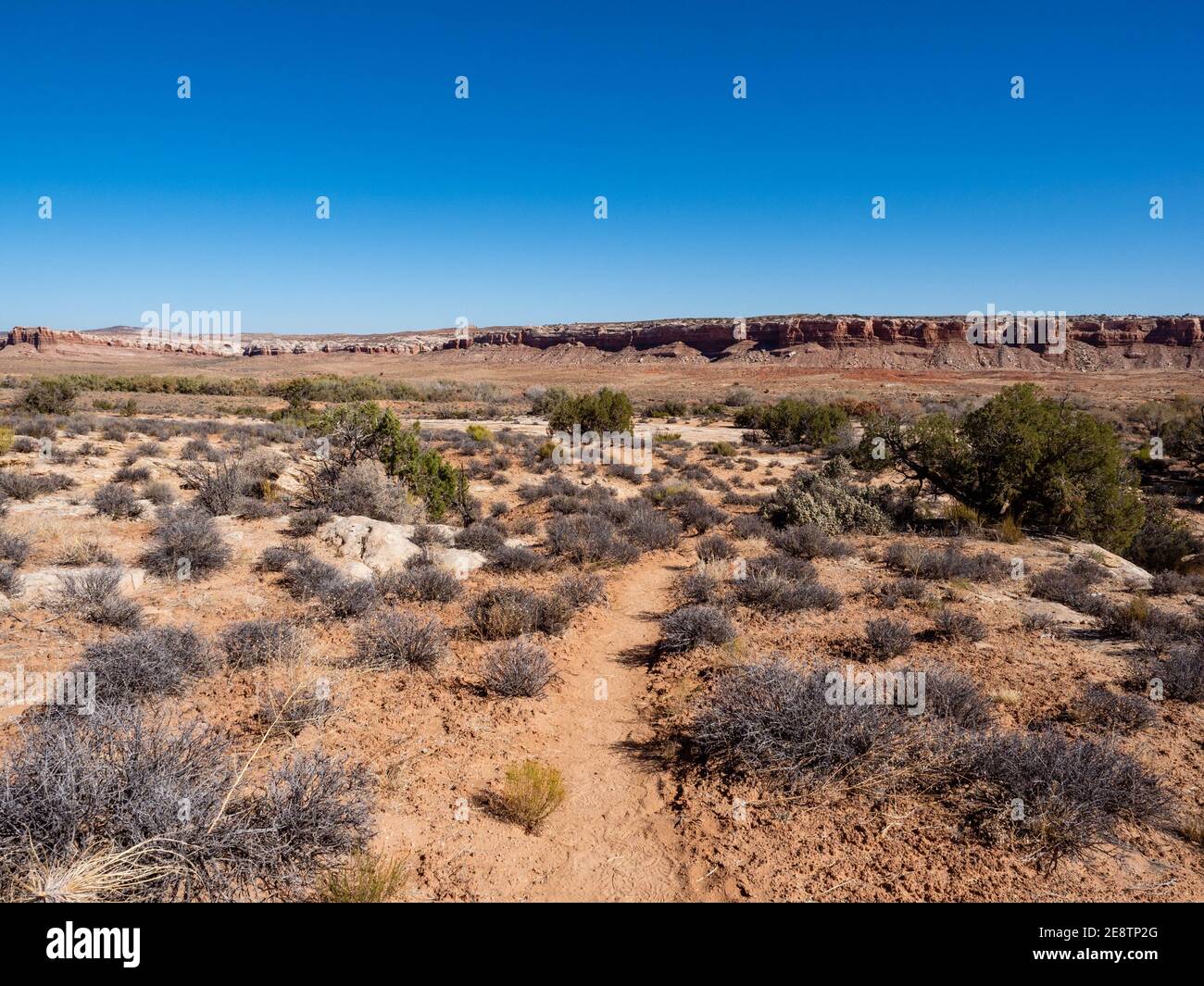 Walk to Processional panel petroglyphs at Combs Ridge, Butler Wash Road ...