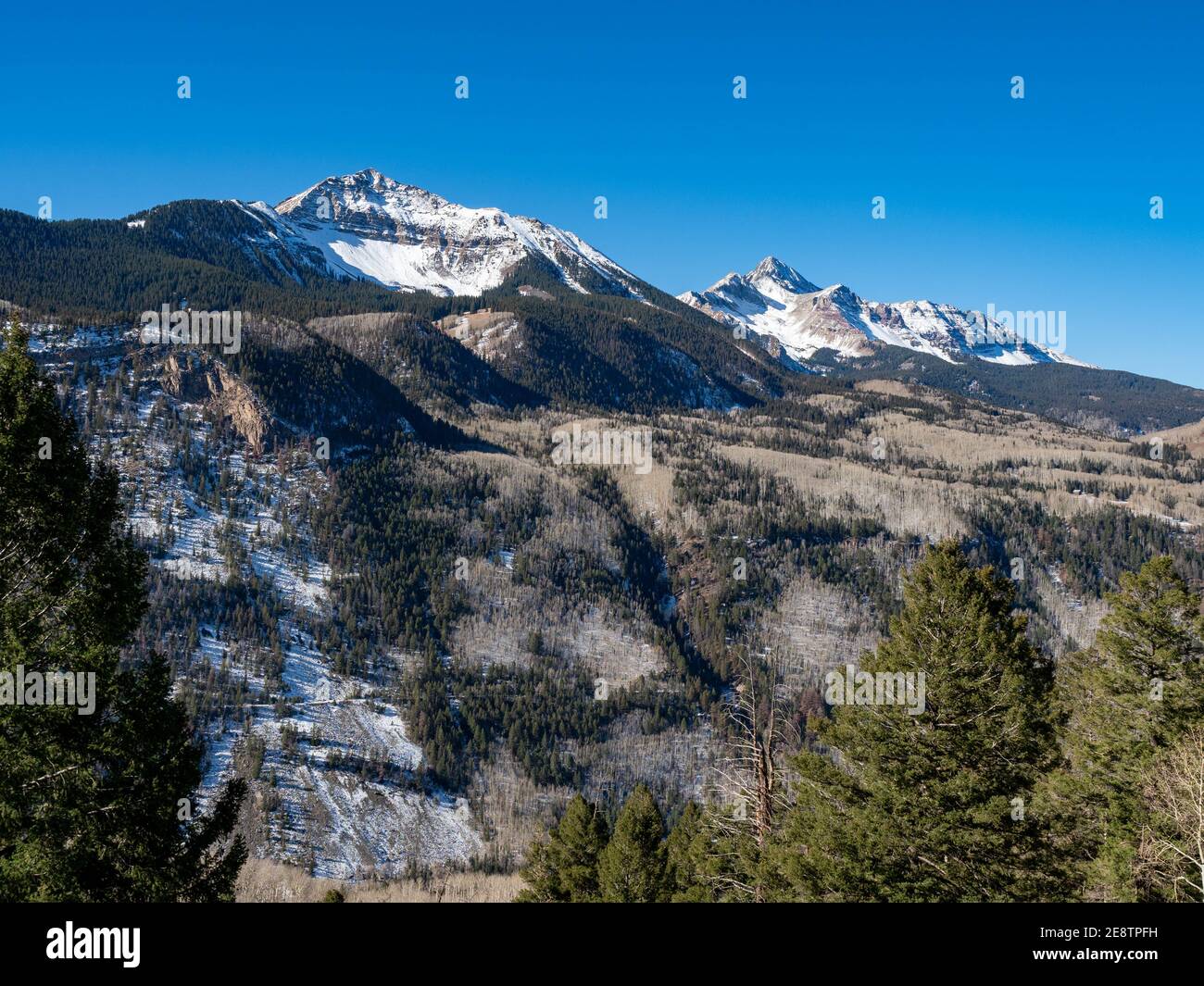 Lizard pass hi-res stock photography and images - Alamy