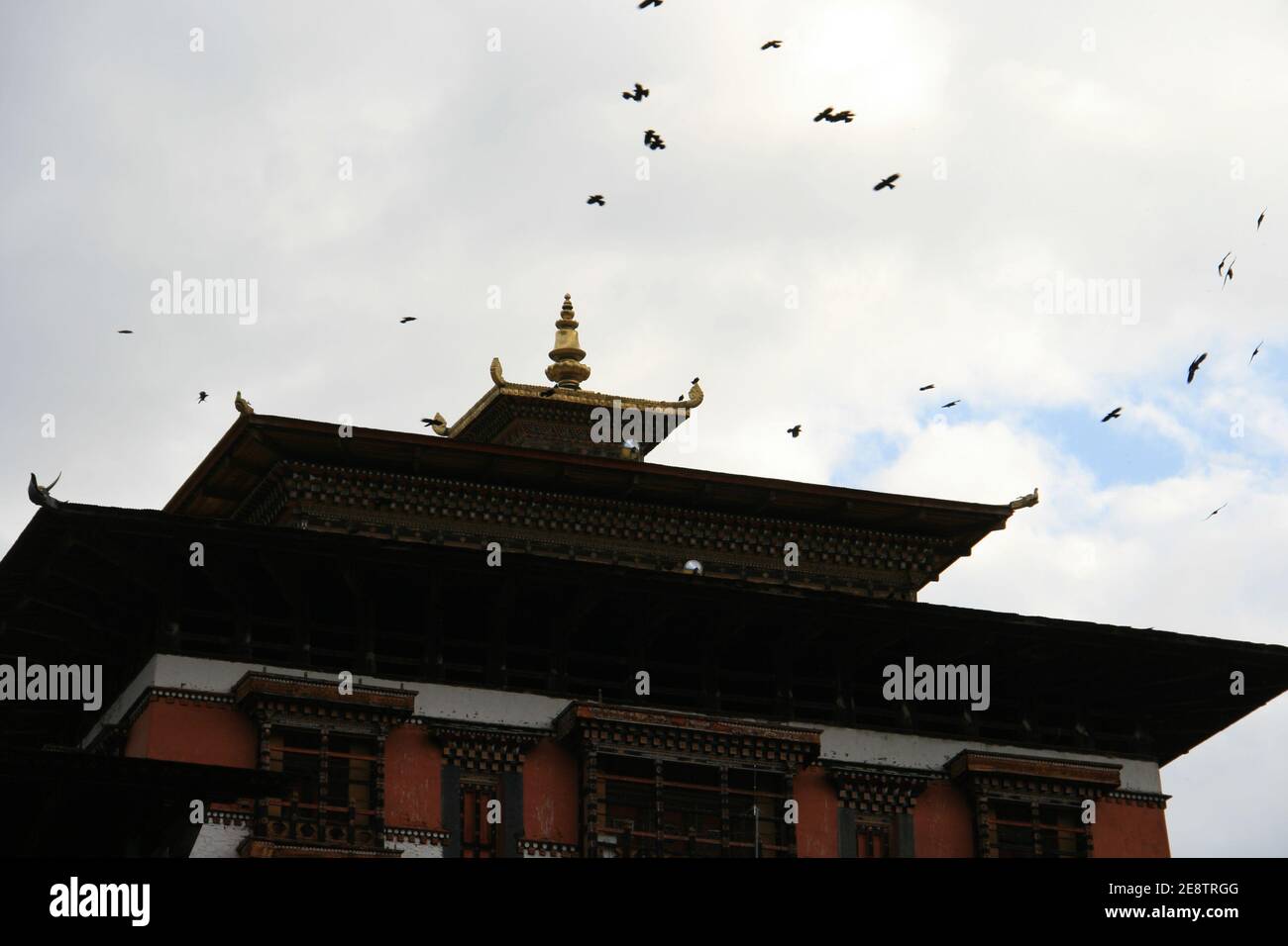 buddhist fortress (dzong) in paro in bhutan Stock Photo - Alamy