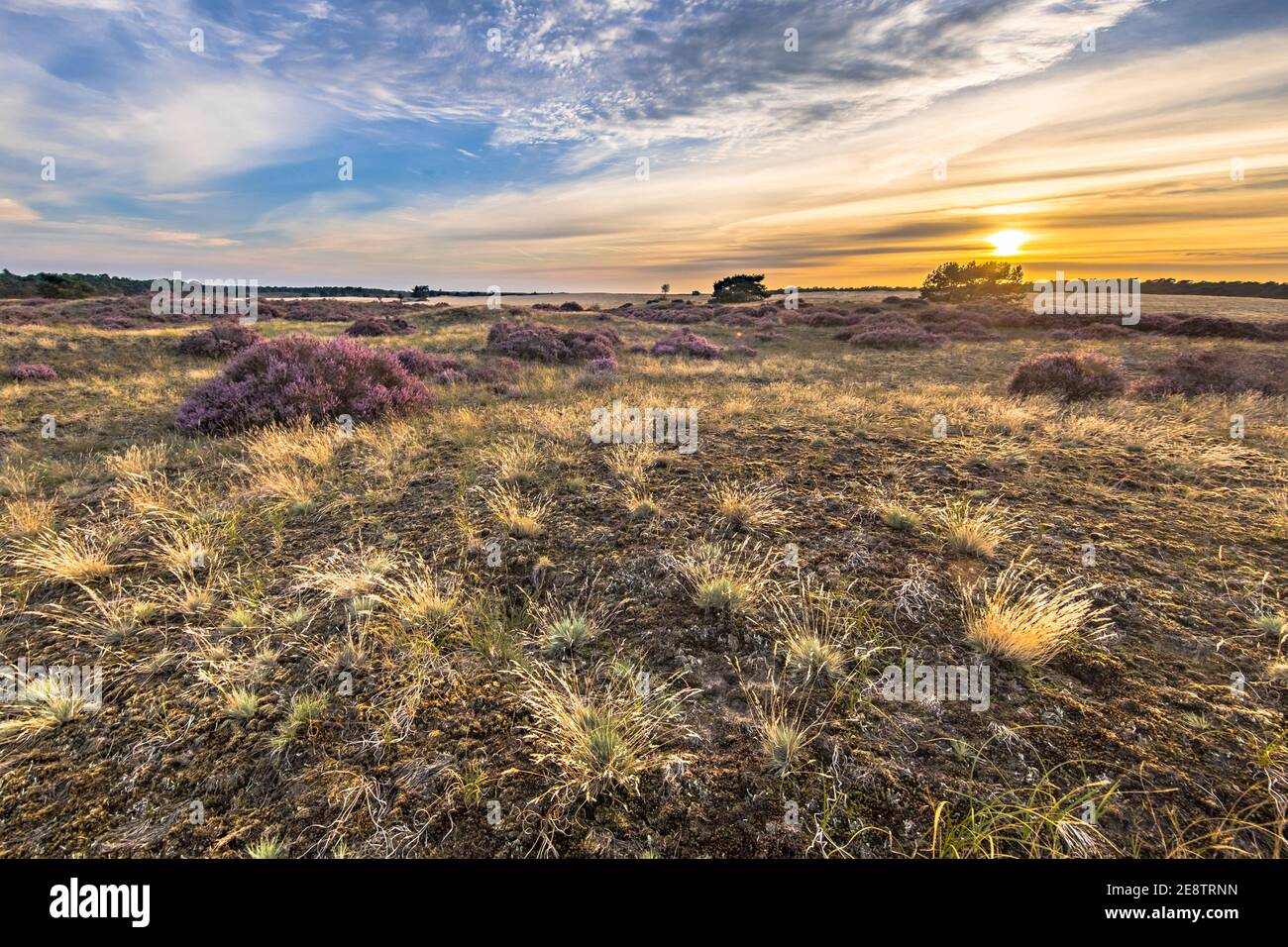 Netherlands landscape hi-res stock photography and images - Alamy