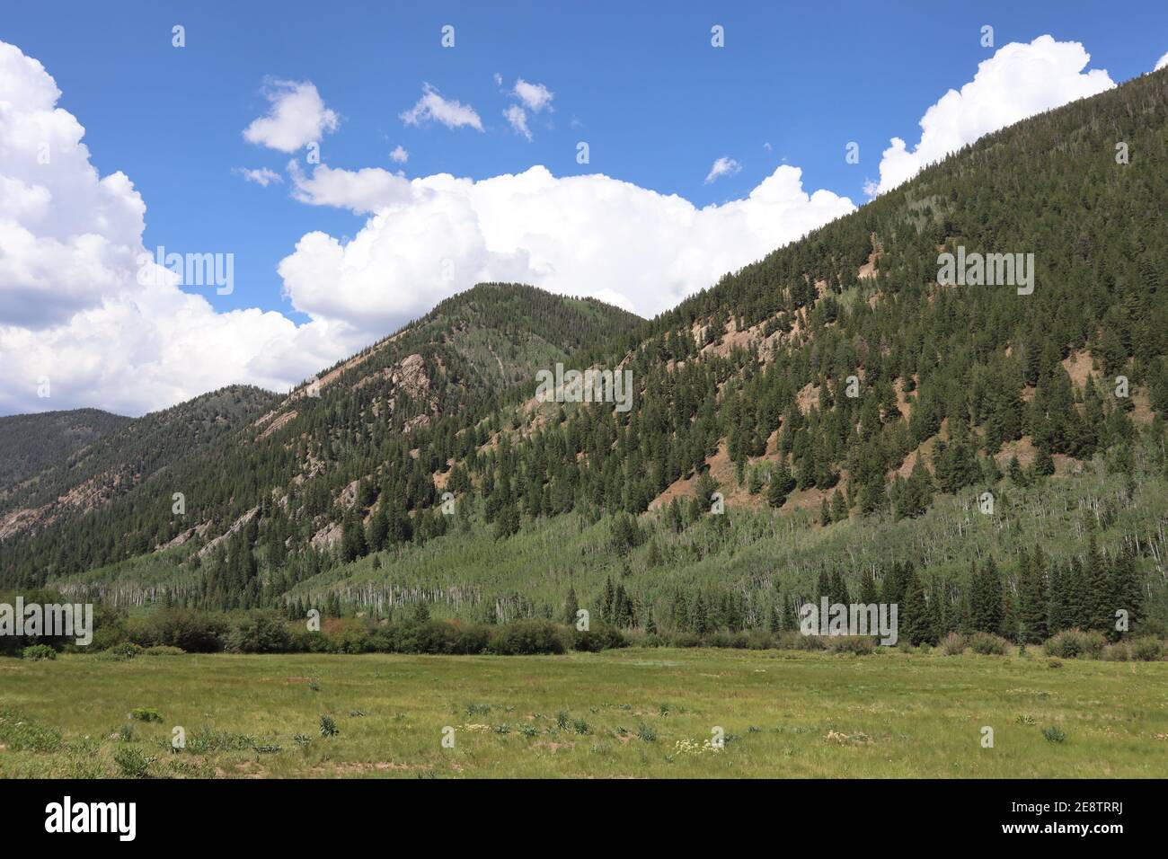 Landscape of mountain prairie dotted with wildflowers and mountains in ...