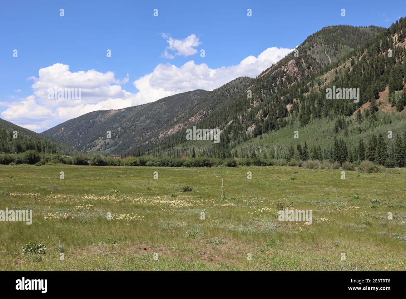Landscape of mountain prairie dotted with wildflowers and mountains in ...