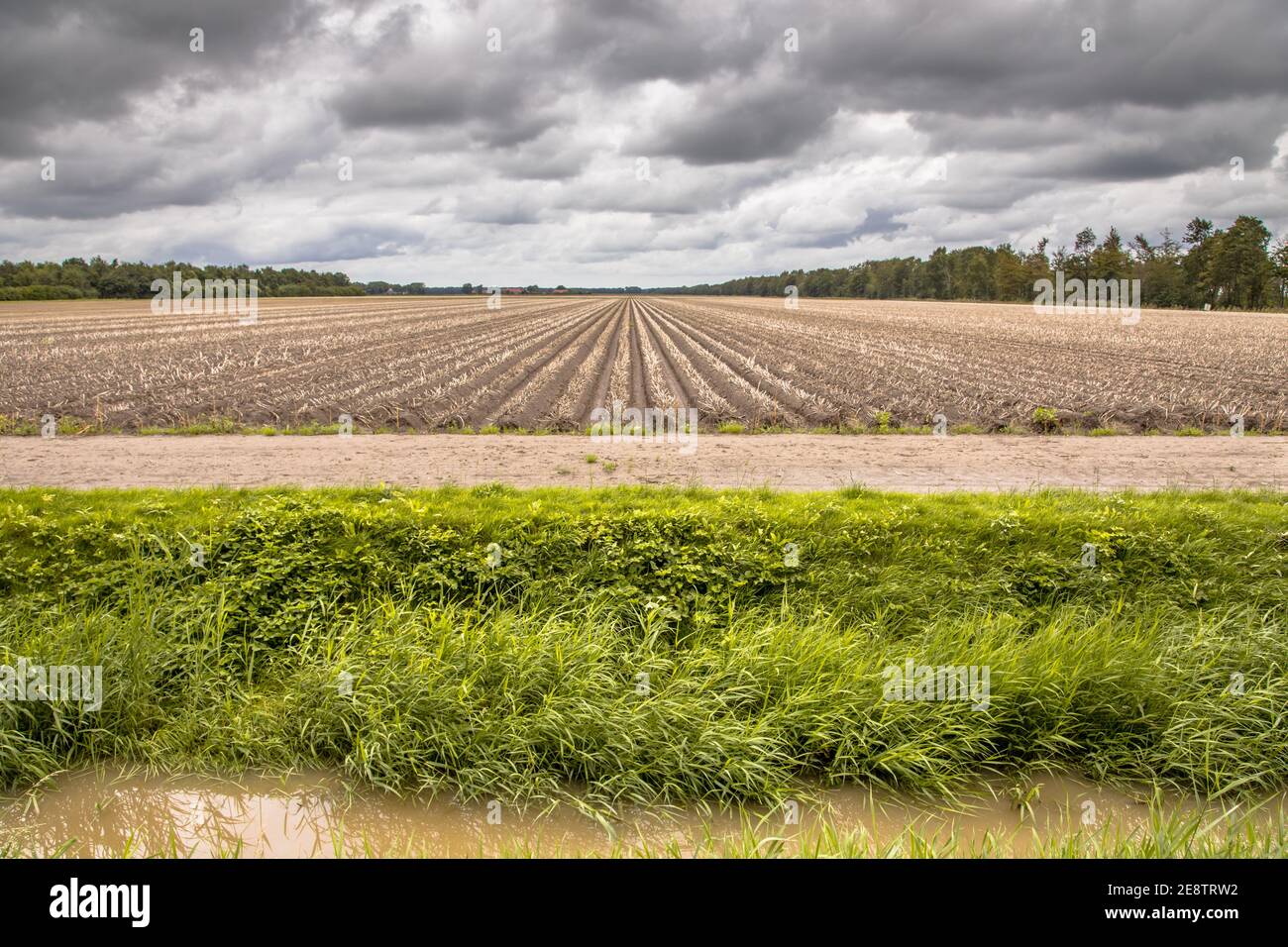 Landscape view of arable land farmland after harvesting the crops. Bant ...