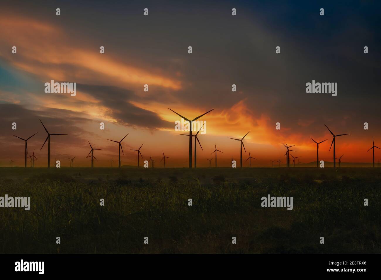 Sunset view of wind power plant. Vast turbine wind mills farm at ...