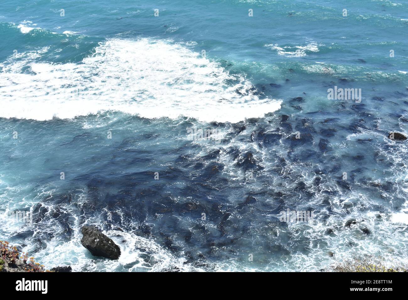 Aerial view of tide pools along the pacific coast of California Stock ...