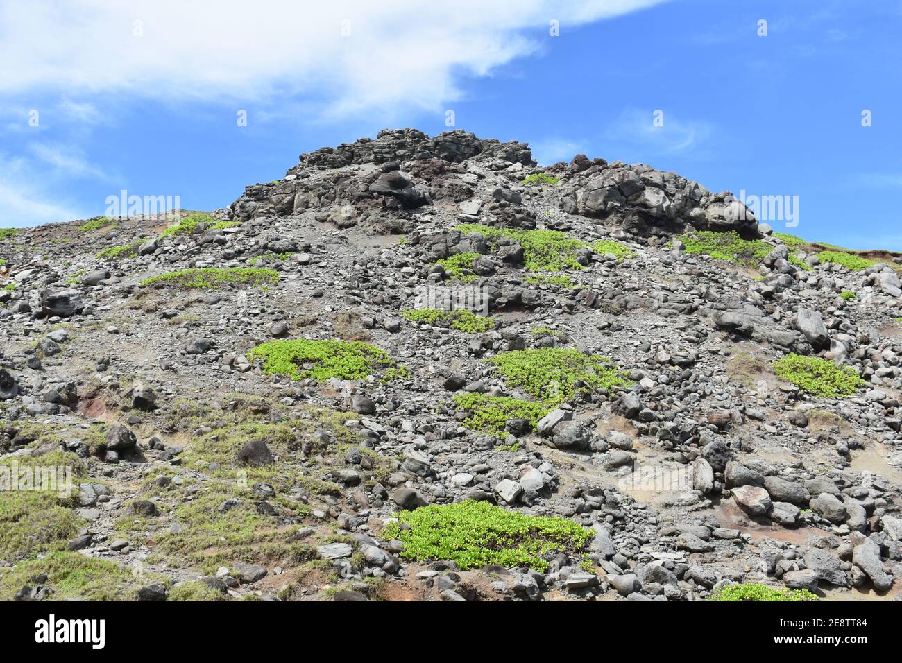 Volcanic hillside with bright green plants on the island of Maui ...