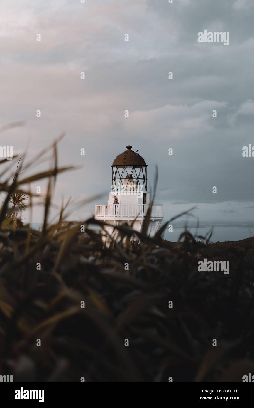 Vertical shot of Manukau Heads Lighthouse behind blurry grasses in New ...