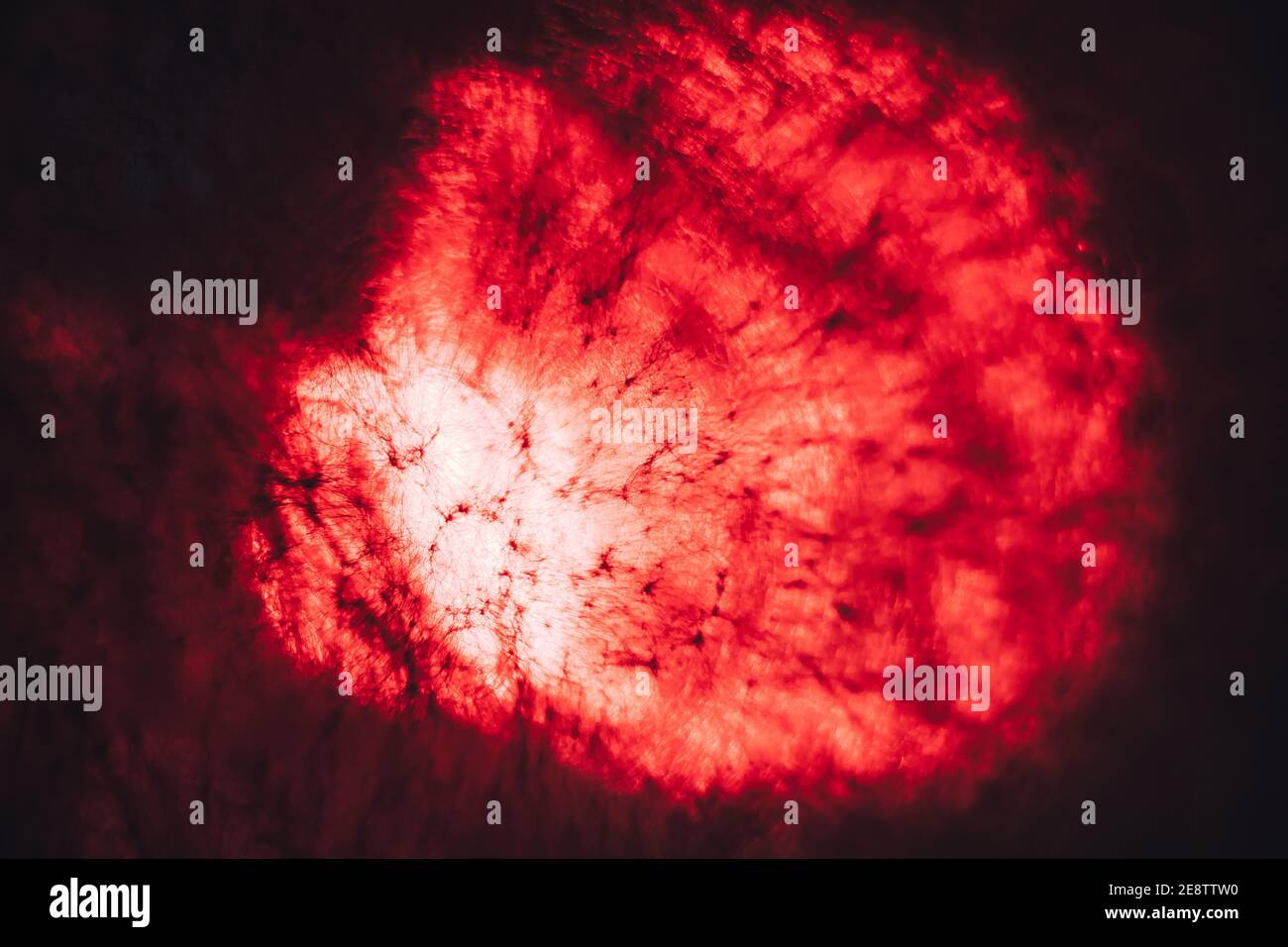 Beautiful abstract texture circle in red light. Background pattern for ...