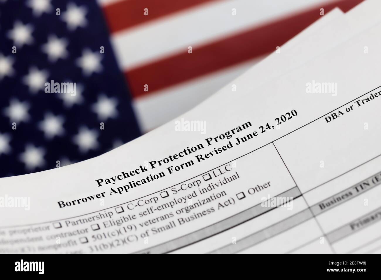 selective focus photo of paycheck protection program borrower ...