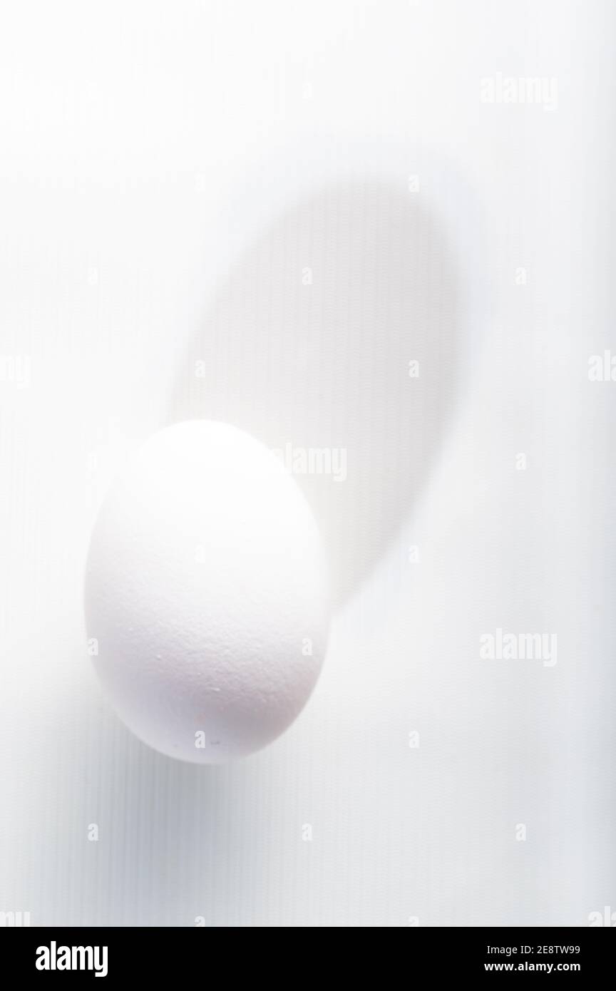 Photo of a white egg on a white background with a shadow. Vertical ...