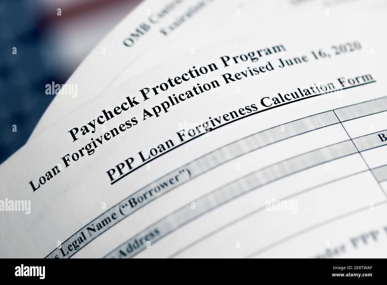 selective focus photo of paycheck protection program loan forgiveness ...