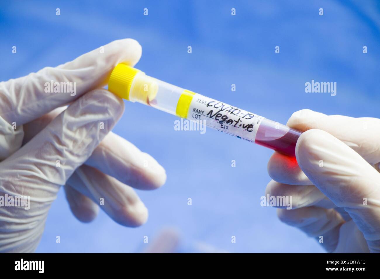 Gloved hand holding test tubes hi-res stock photography and images - Alamy