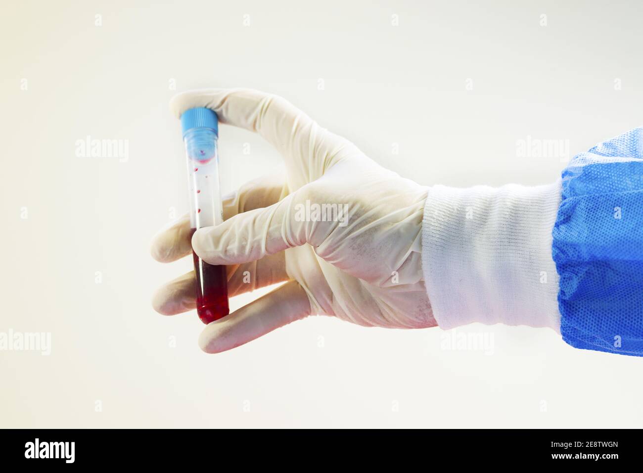 Closeup shot of a gloved hand holding blood test tubes isolated on ...