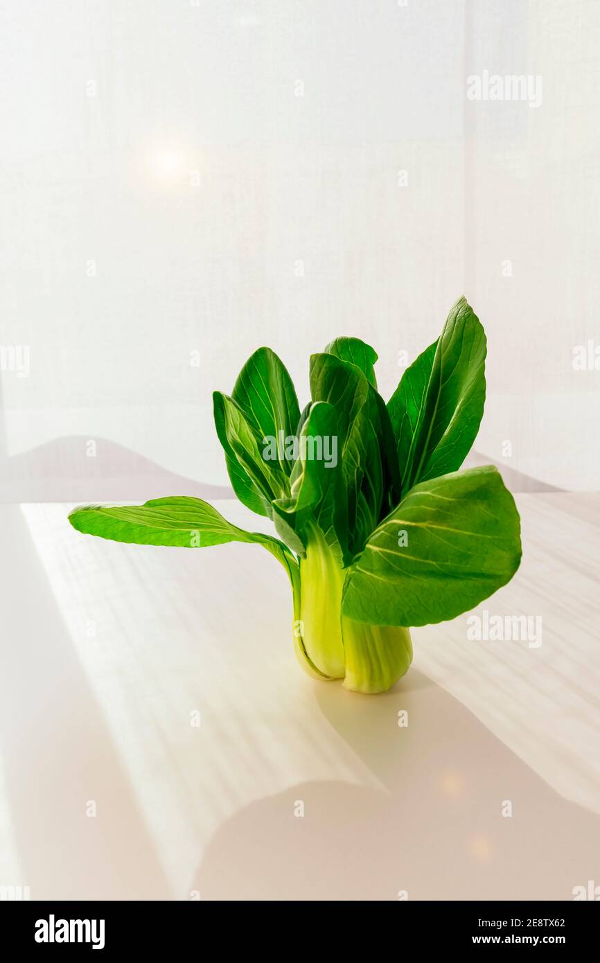 Fresh looking shangai paksoi on a wooden table on an out of focus light ...