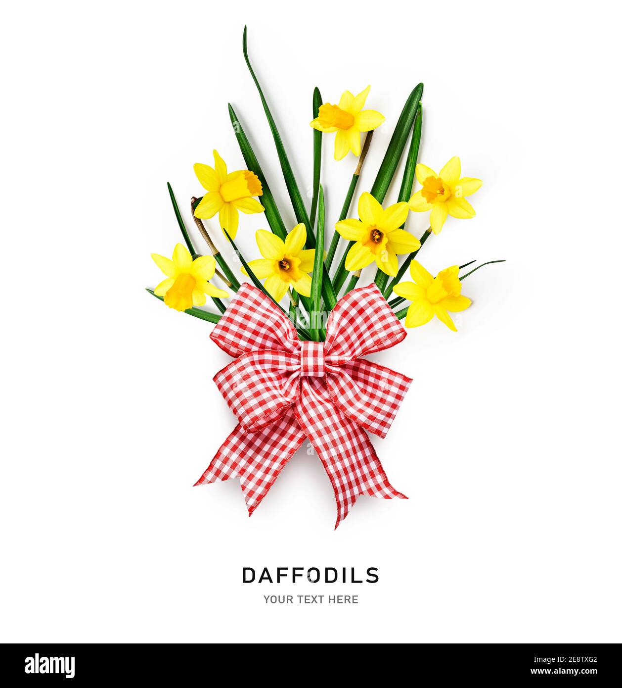Creative layout with small daffodils spring flowers and ribbon bow ...