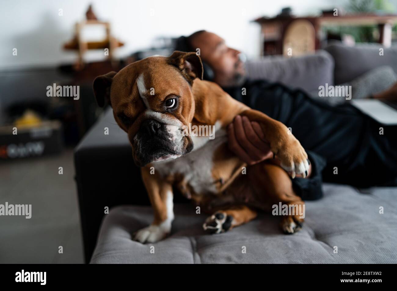 Afro dog owner hi-res stock photography and images - Alamy