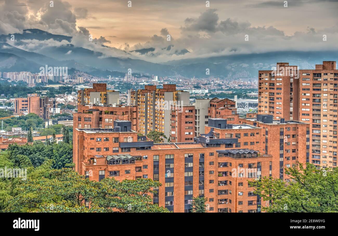 Tree street medellin colombia hi-res stock photography and images - Alamy