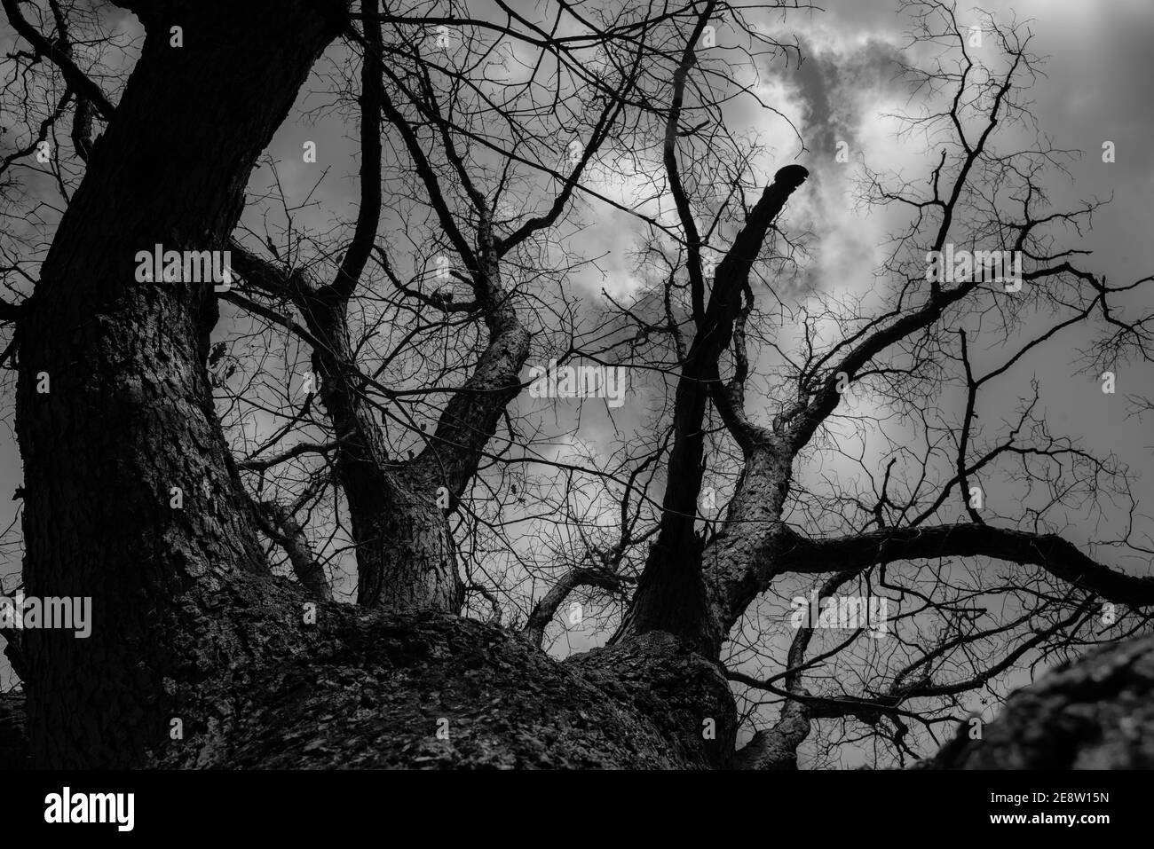 Dizzying hi-res stock photography and images - Alamy