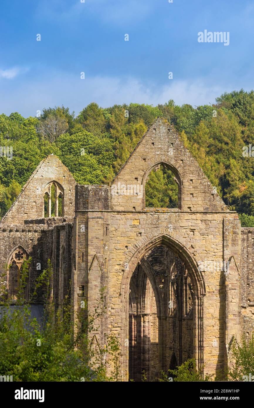 UK, Wales, Monmouthshire, Wye Valley, Tintern, Tintern Abbey Stock ...