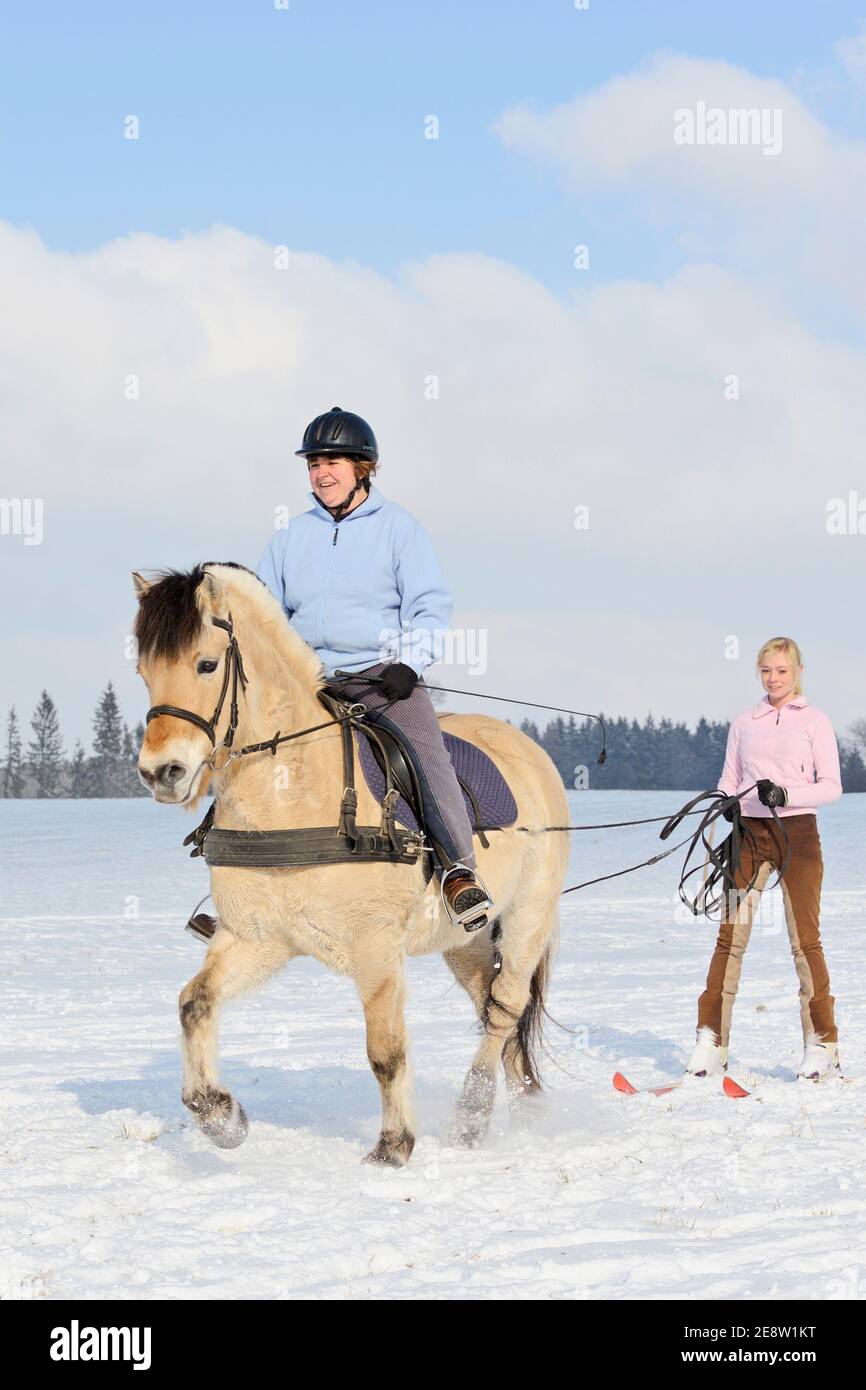 Skijoring And Horse High Resolution Stock Photography and Images - Alamy