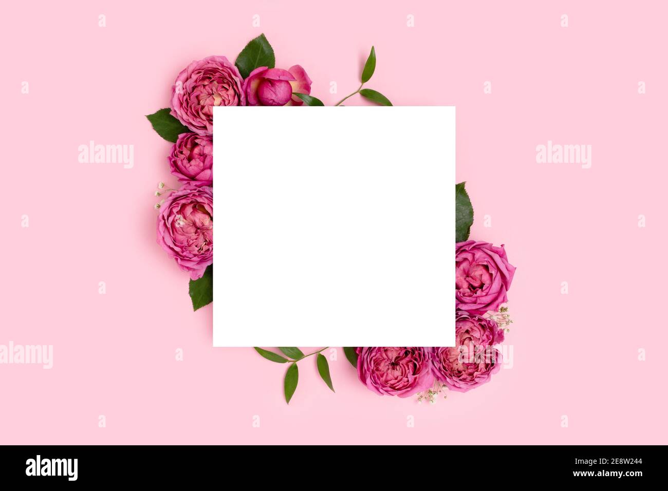 Pomelo Pink Wedding Motif