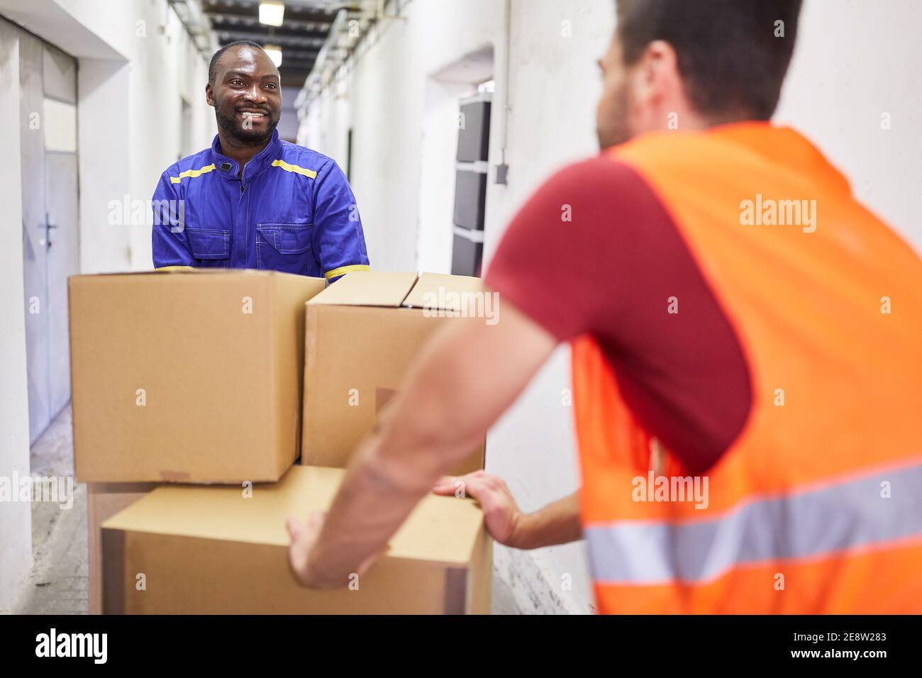 Two warehouse workers transport packages on push carts in the factory ...