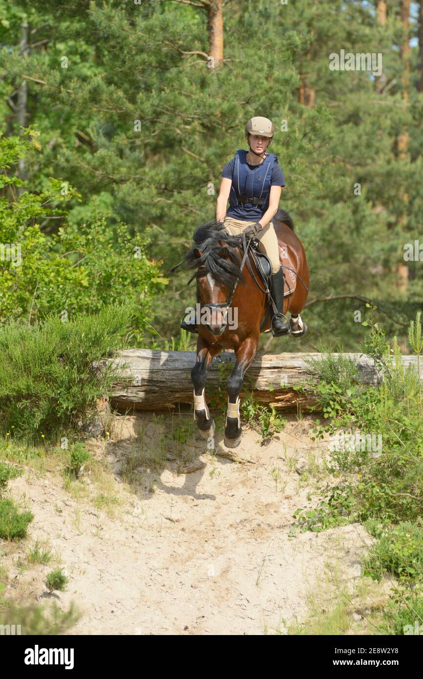 Woman riding pony hi-res stock photography and images - Alamy