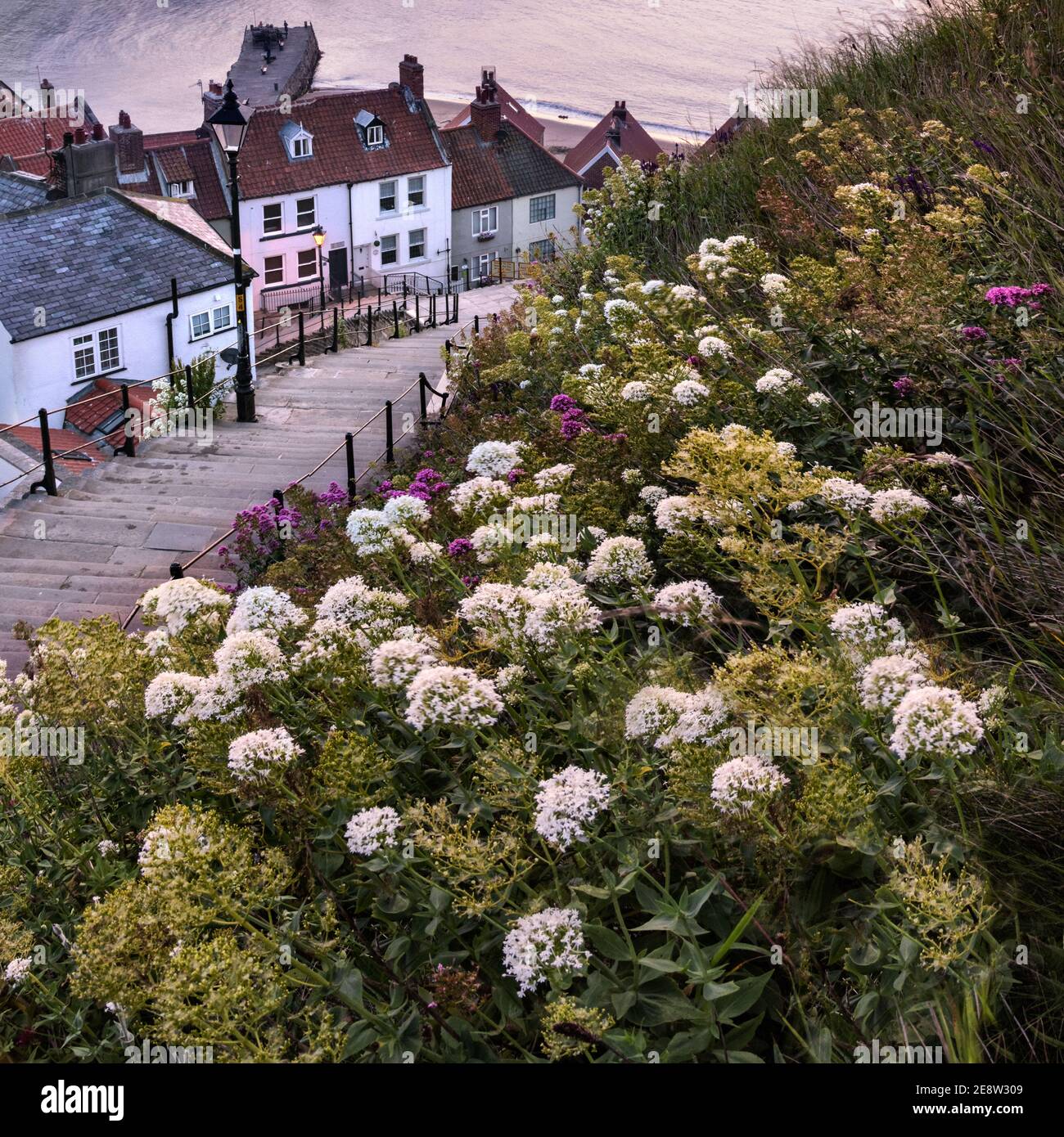 Summer sunset at Whitby Steps Stock Photo - Alamy