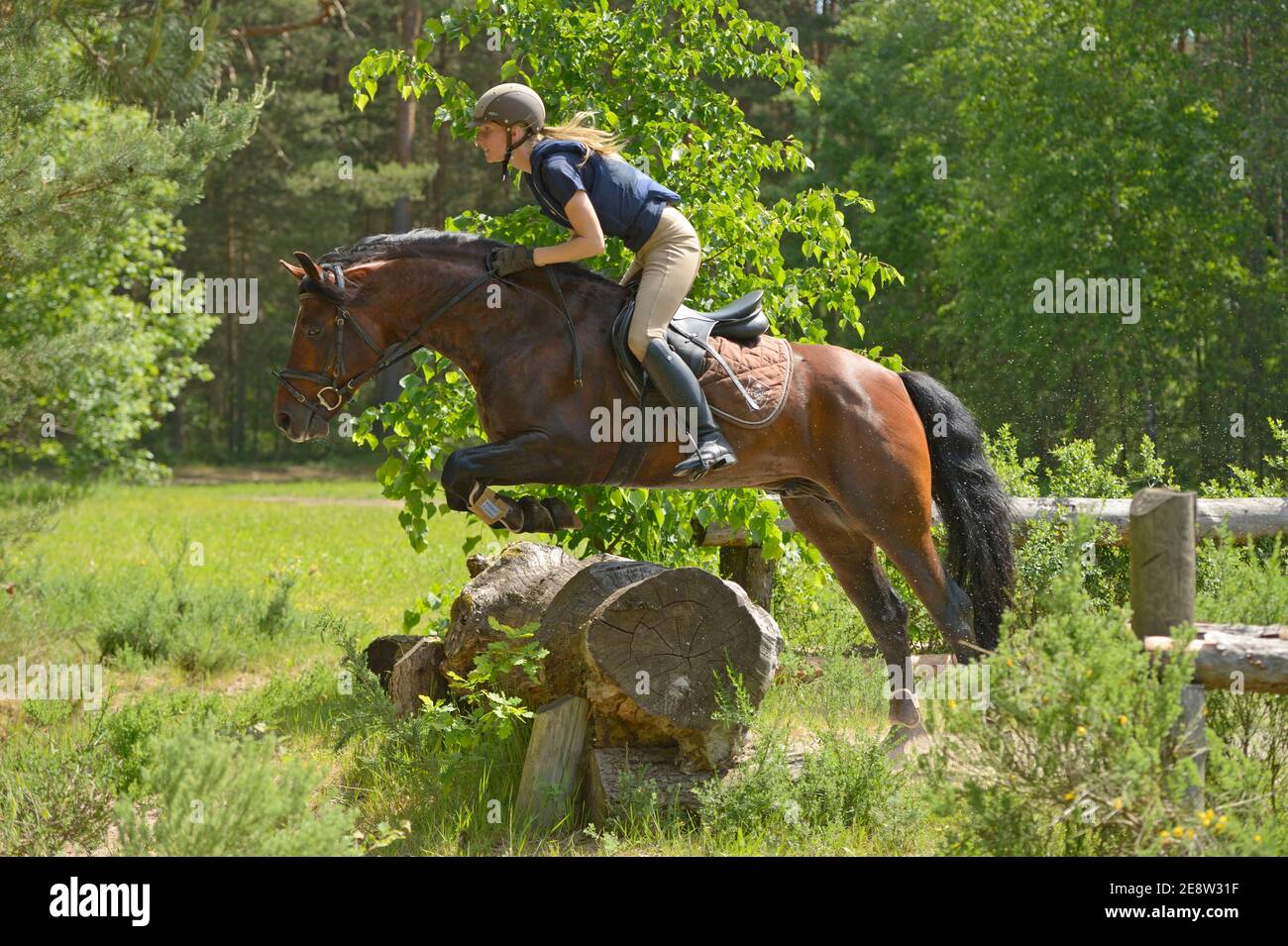 Woman riding pony hi-res stock photography and images - Alamy
