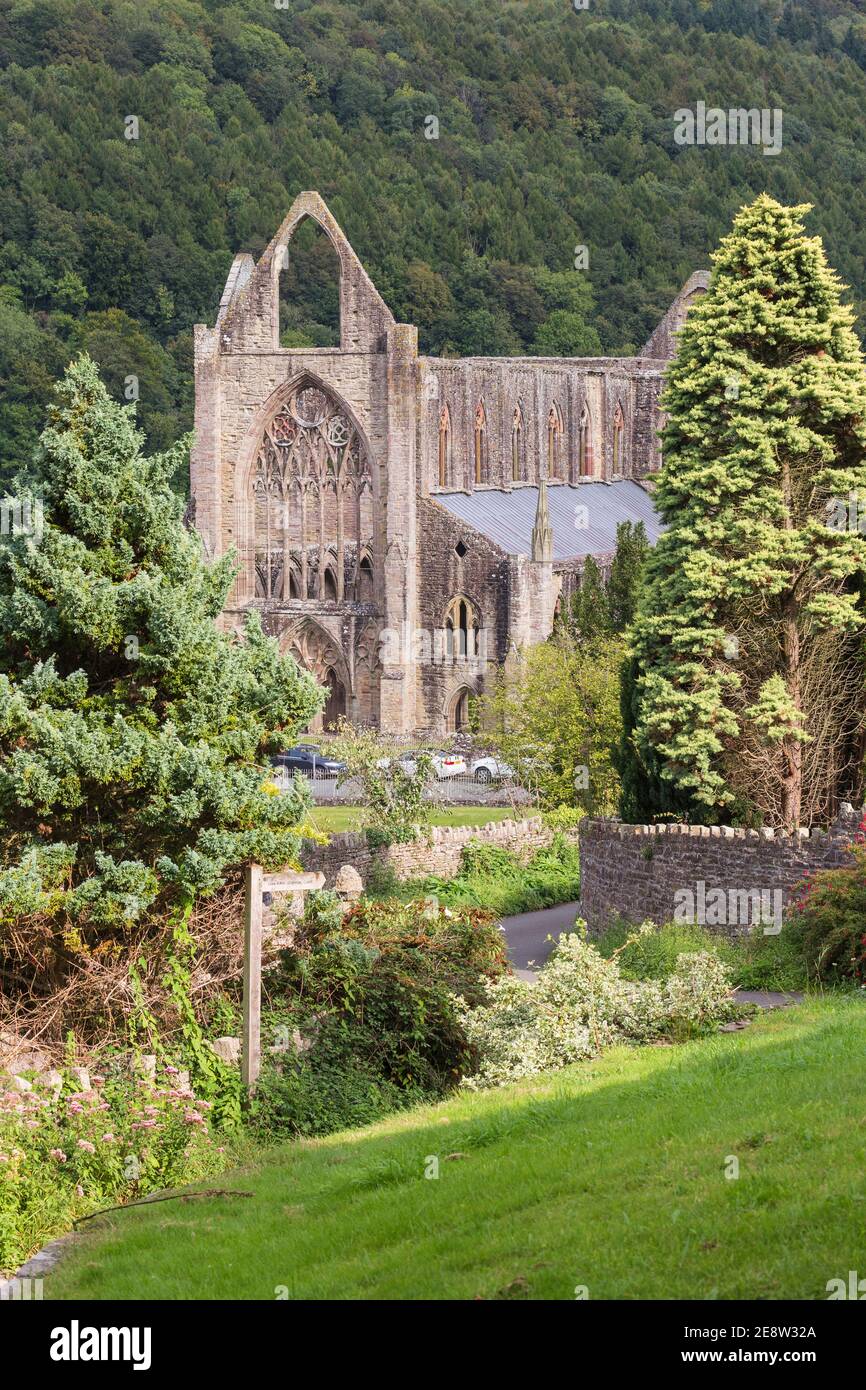 UK, Wales, Monmouthshire, Wye Valley, Tintern, Tintern Abbey Stock ...