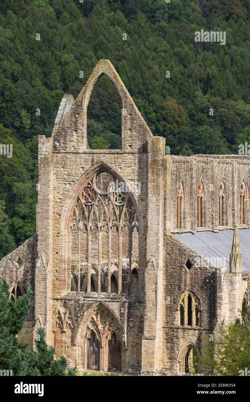 UK, Wales, Monmouthshire, Wye Valley, Tintern, Tintern Abbey Stock ...