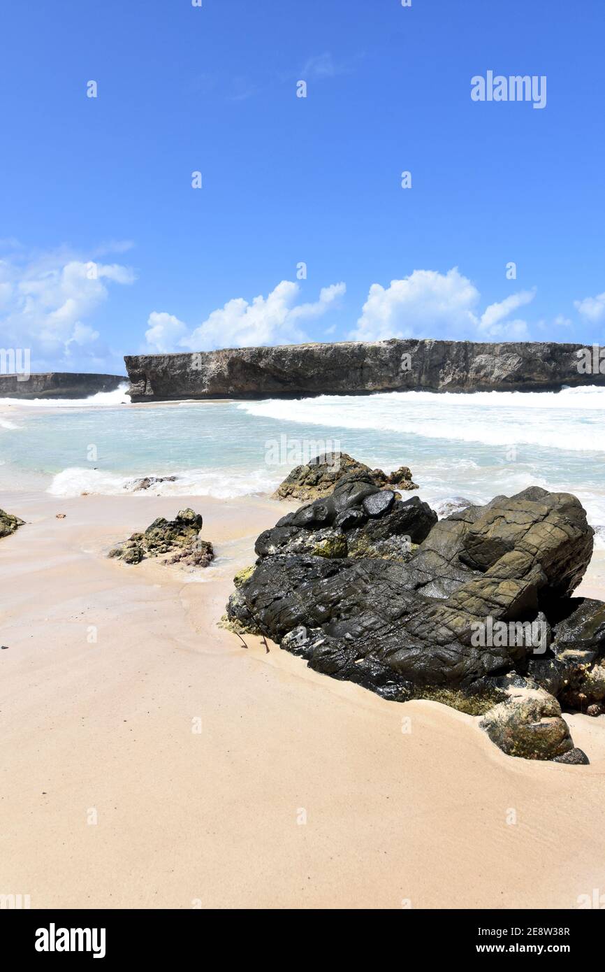 Boca ketu hi-res stock photography and images - Alamy